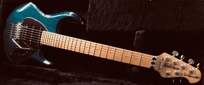 Rare & Collectible « EBMM SILHOUETTE « TEAL » FLOYD-ROSE 24 frets from ...